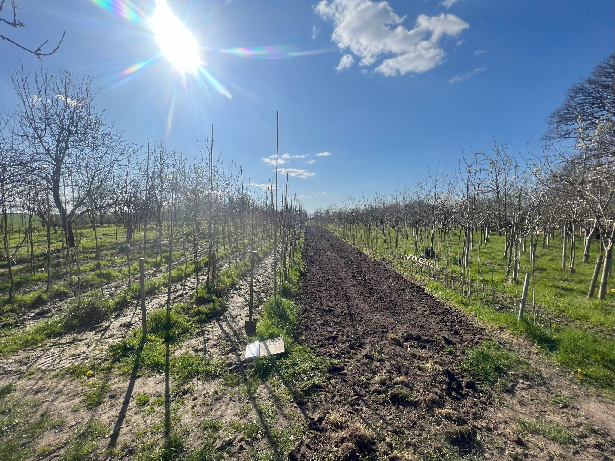 Obstbaumschule & Obstgarten Dr. Ute Hoffmann