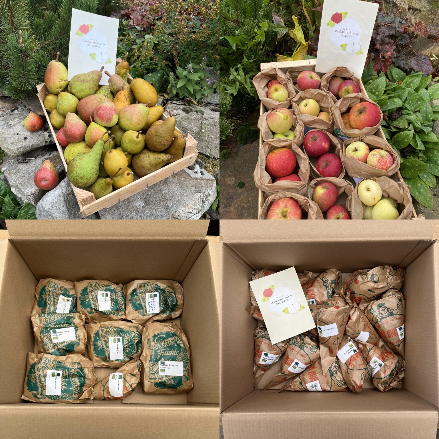 Obstbaumschule & Obstgarten Dr. Ute Hoffmann